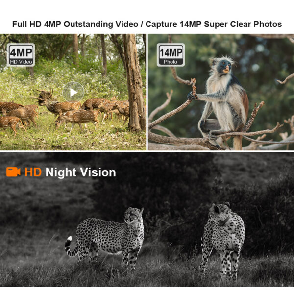 Game Camera vs. Cellular Camera: Which is Best for Live Animal Monitoring
